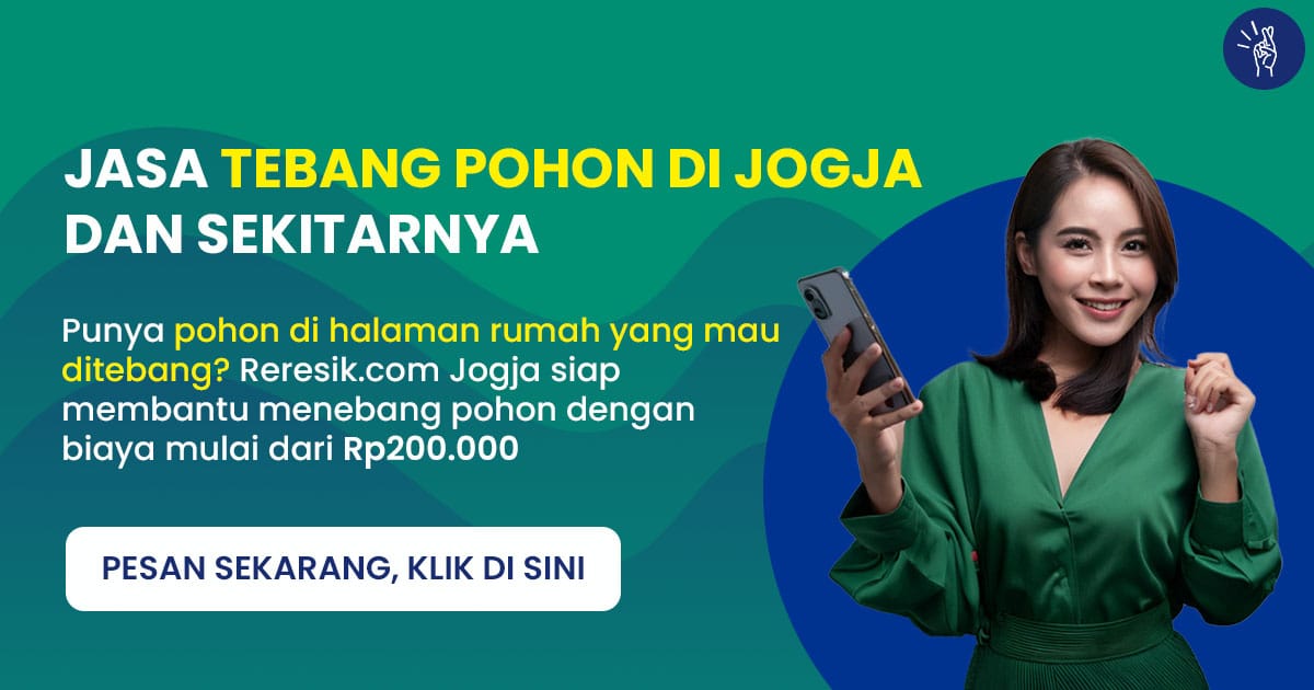 Jasa Tebang Pohon Terdekat di Jogja dan Sekitarnya